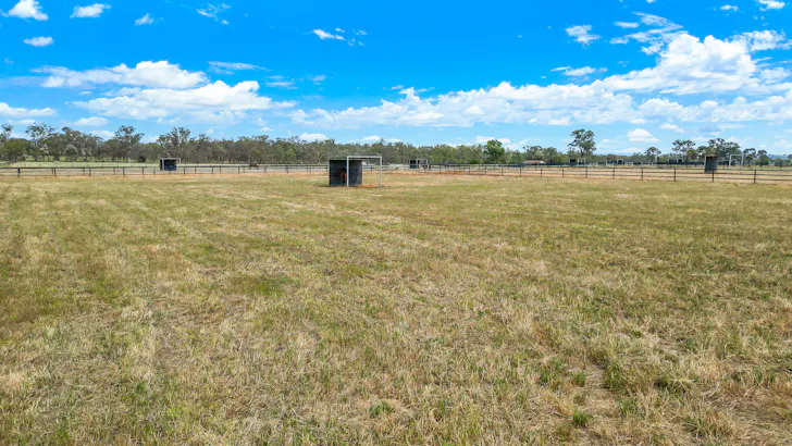 Rural Land & Properties For Sale | Elders Real Estate Tamworth
