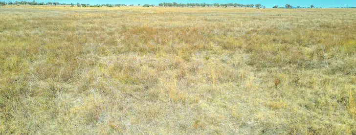 Rural Land & Properties For Sale | Elders Real Estate Tamworth