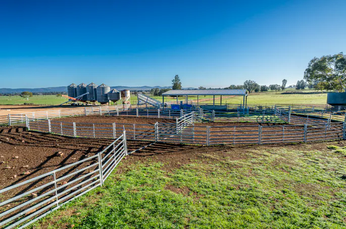 Rural Land & Properties For Sale | Elders Emms Mooney