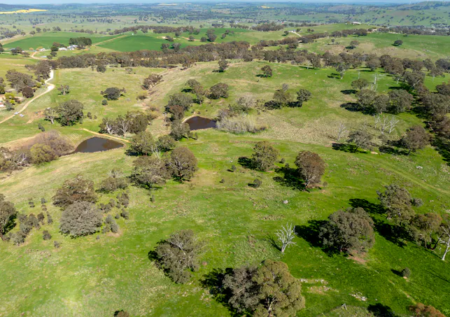 Elders Emms Mooney | Your Local Real Estate Experts