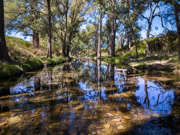 Elders Emms Mooney | Your Local Real Estate Experts