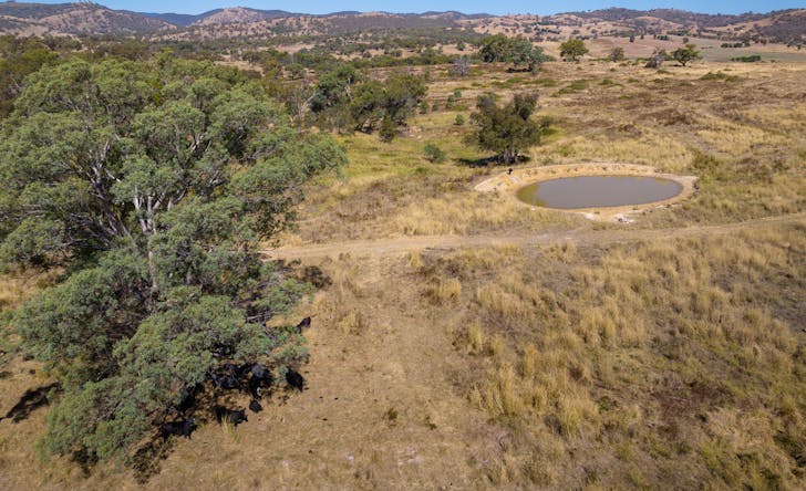 Elders Emms Mooney | Your Local Real Estate Experts