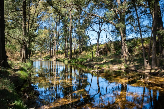 Elders Emms Mooney | Your Local Real Estate Experts