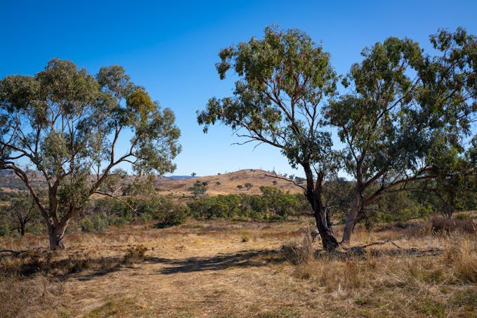 Elders Emms Mooney | Your Local Real Estate Experts