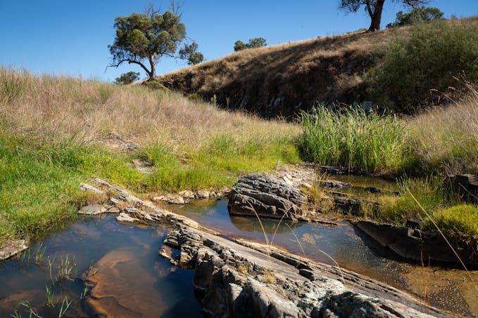 Elders Emms Mooney | Your Local Real Estate Experts