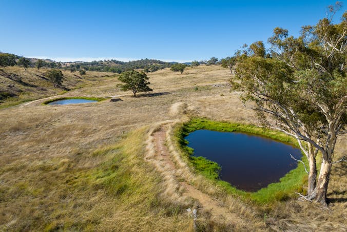 Elders Emms Mooney | Your Local Real Estate Experts